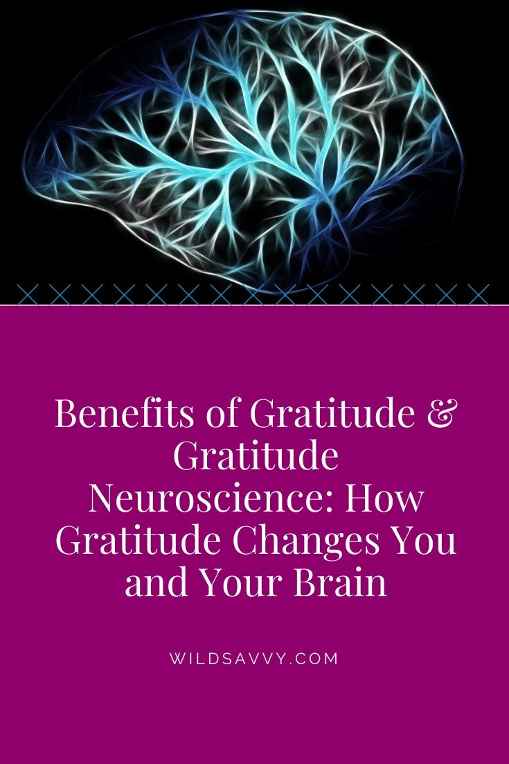 Benefits of Gratitude & Gratitude Neuroscience: How Gratitude Changes ...